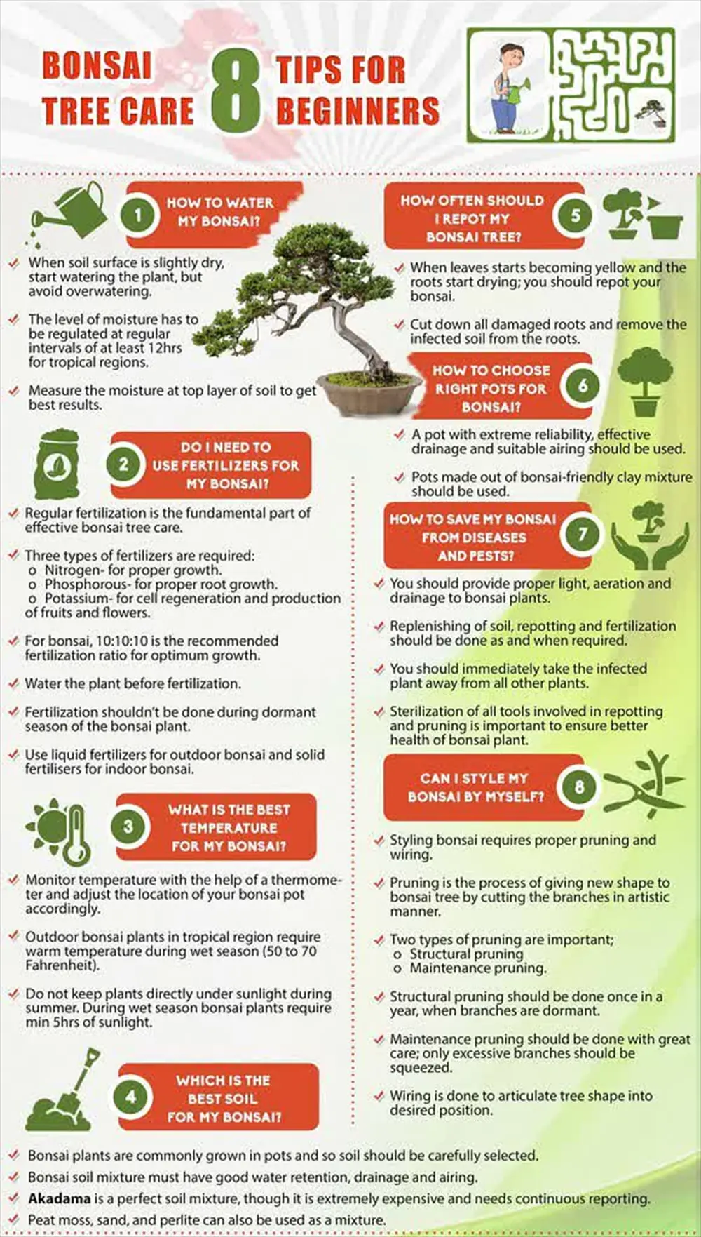 What are beginner-friendly bonsai species? - Smart Garden Guru