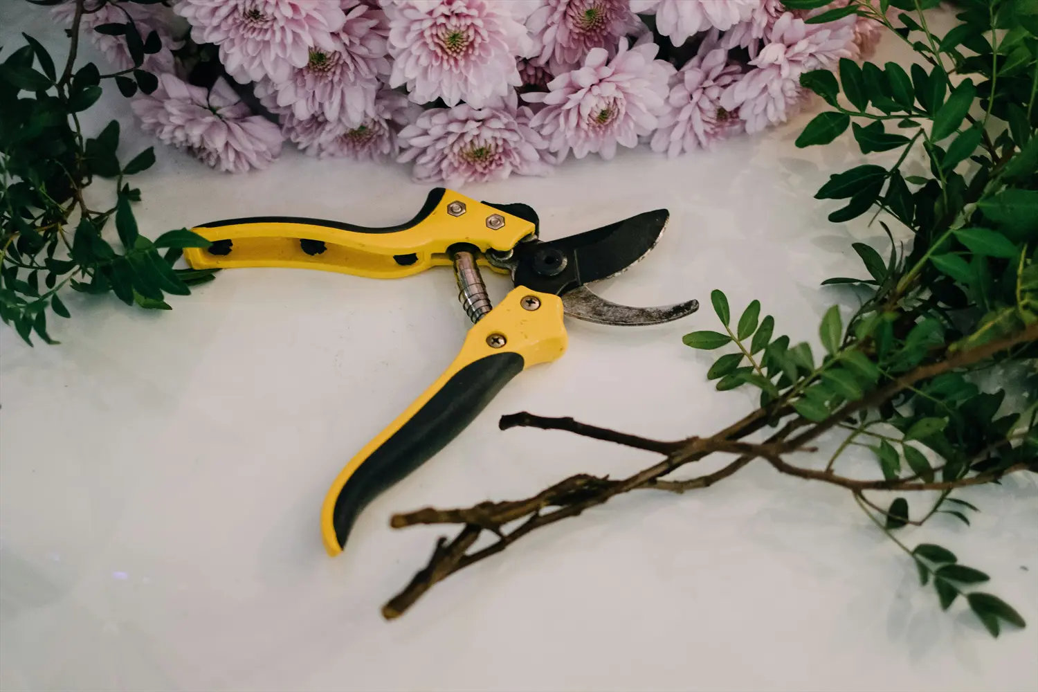When to use pruning shears? - Smart Garden Guru