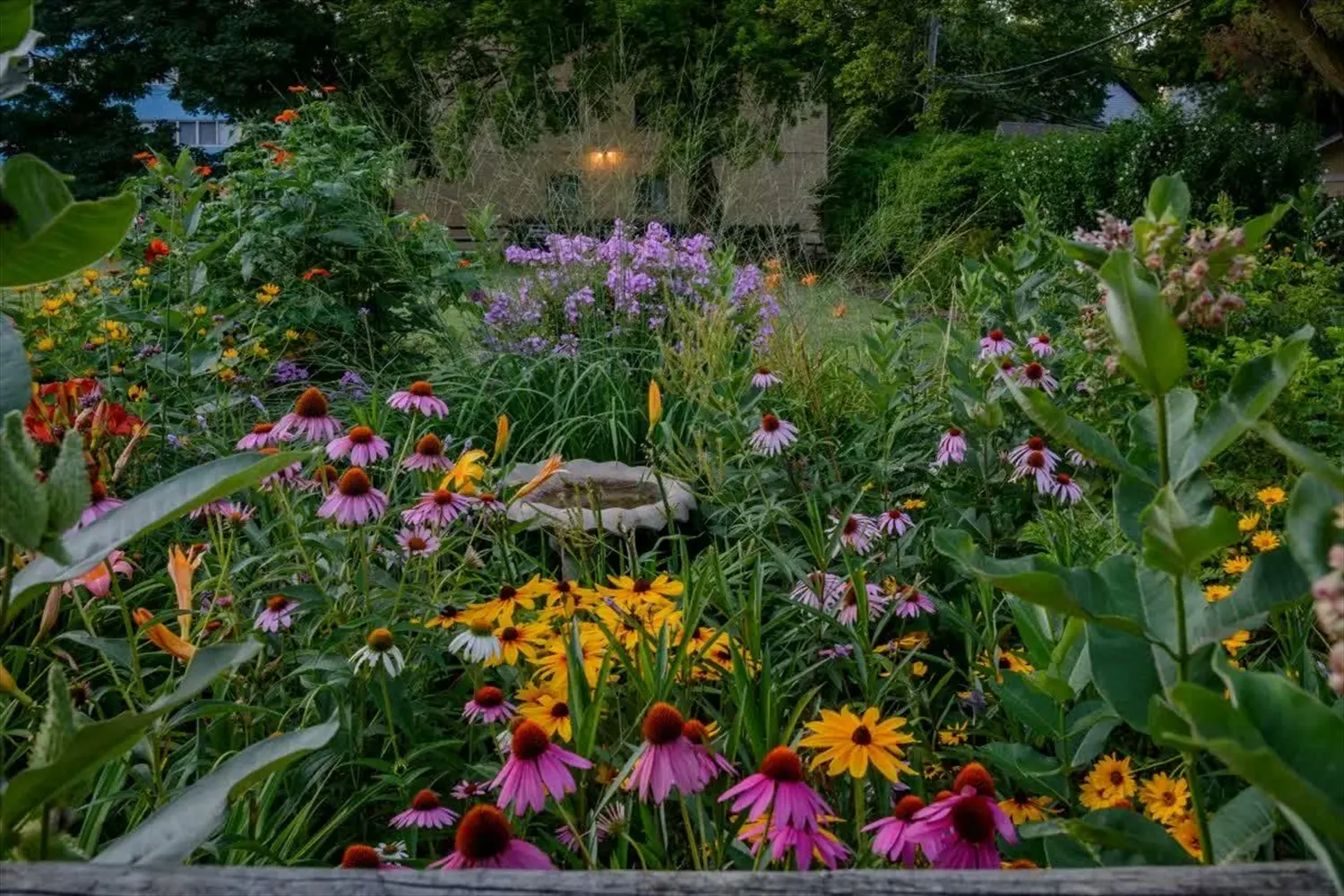 Perennial Plants: Growing Guide for Every Zone - Smart Garden Guru